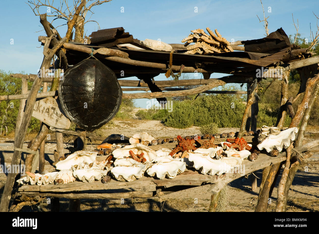 Mangily hi-res stock photography and images - Alamy