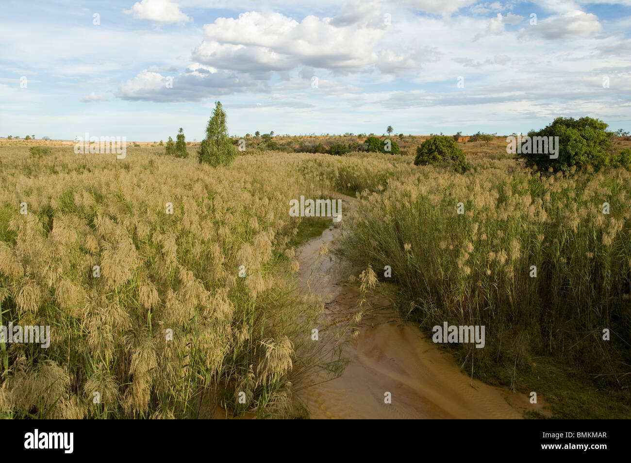Madagascar, Sakaraha. Maninday River Stock Photo - Alamy