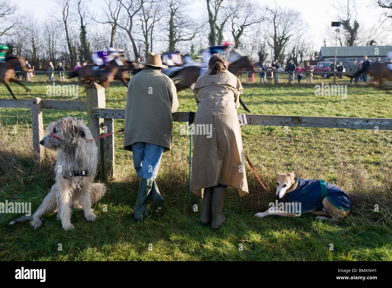 Point To Point Horse Racing Cottenham In High Resolution Stock ...