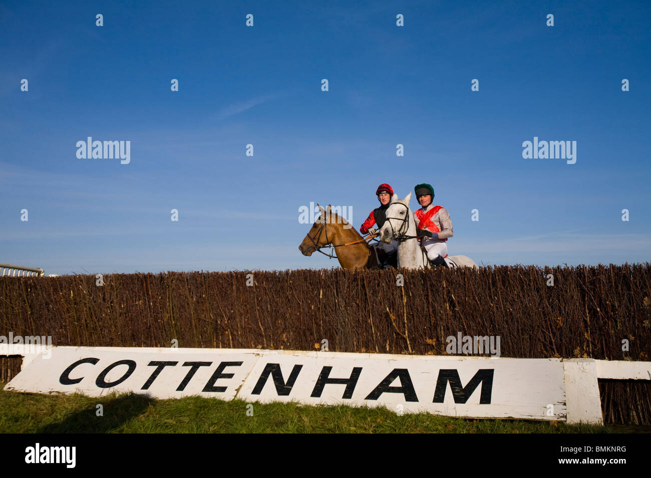 Point-to-Point Horse racing at Cottenham in Cambridgeshire Stock Photo ...