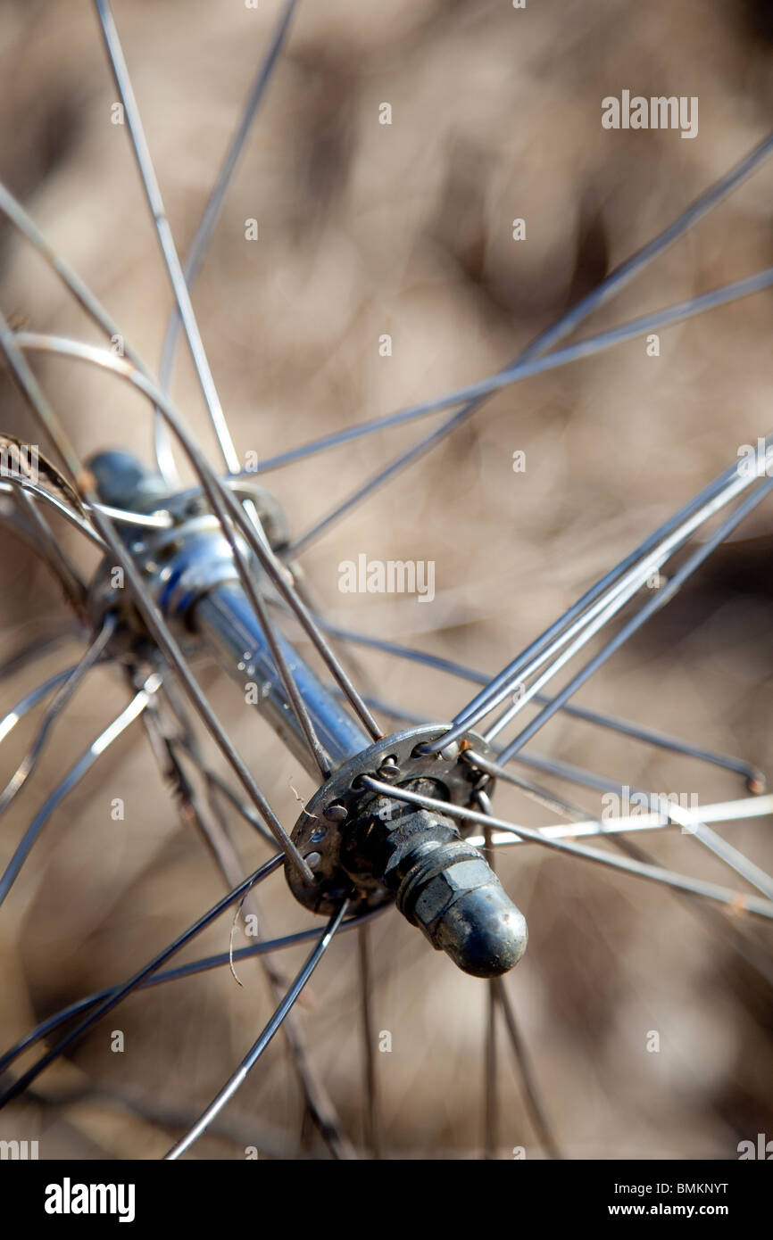 Warp wheel hi-res stock photography and images - Alamy