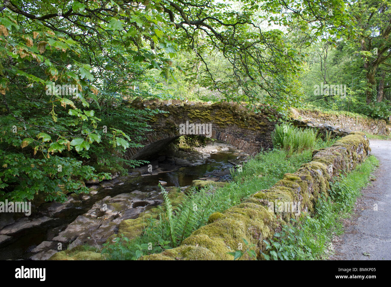 Ancient Bridge over stream in Yorkshire, England Stock Photo - Alamy