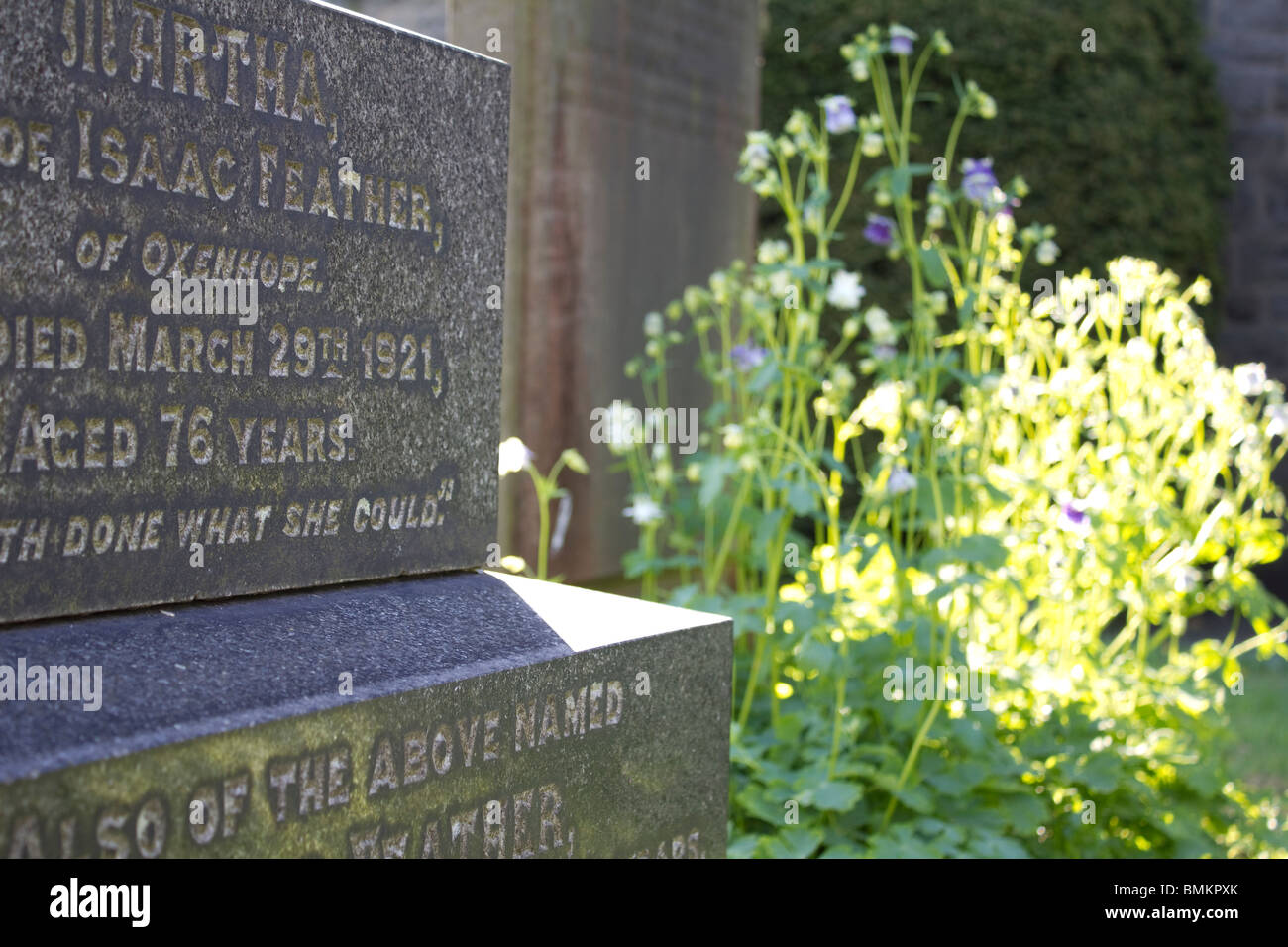 Gravestone and Wild Flowers, Oxenhope, Yorkshire, England Stock Photo ...