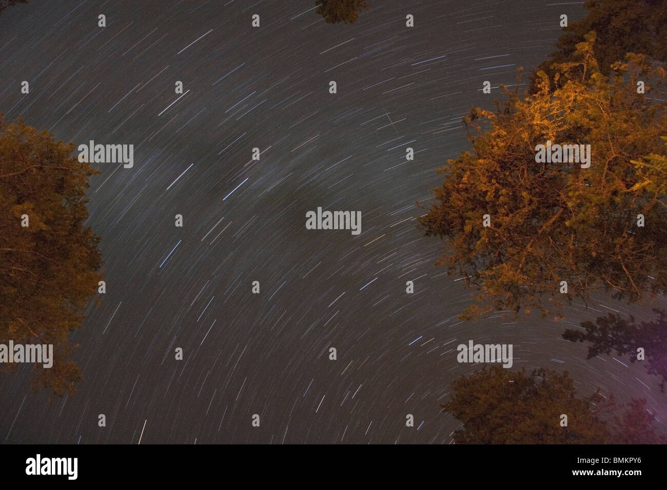 Star jasper hi-res stock photography and images - Alamy