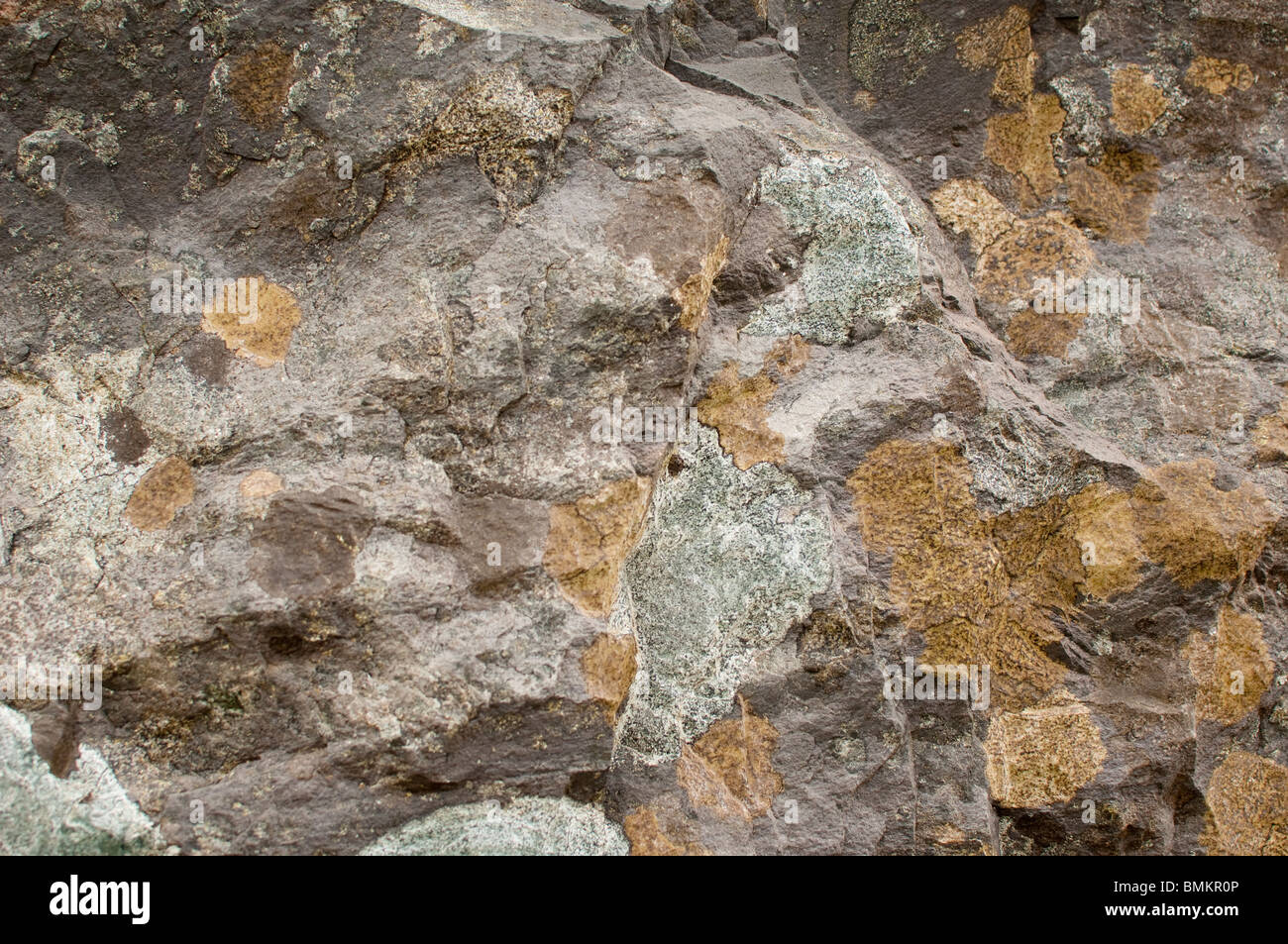 rocks mottled with lichen Stock Photo - Alamy