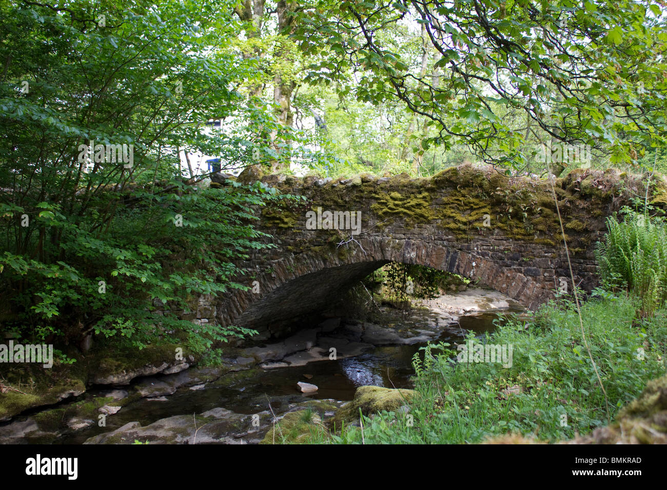 Bridge Over Stream High Resolution Stock Photography and Images - Alamy