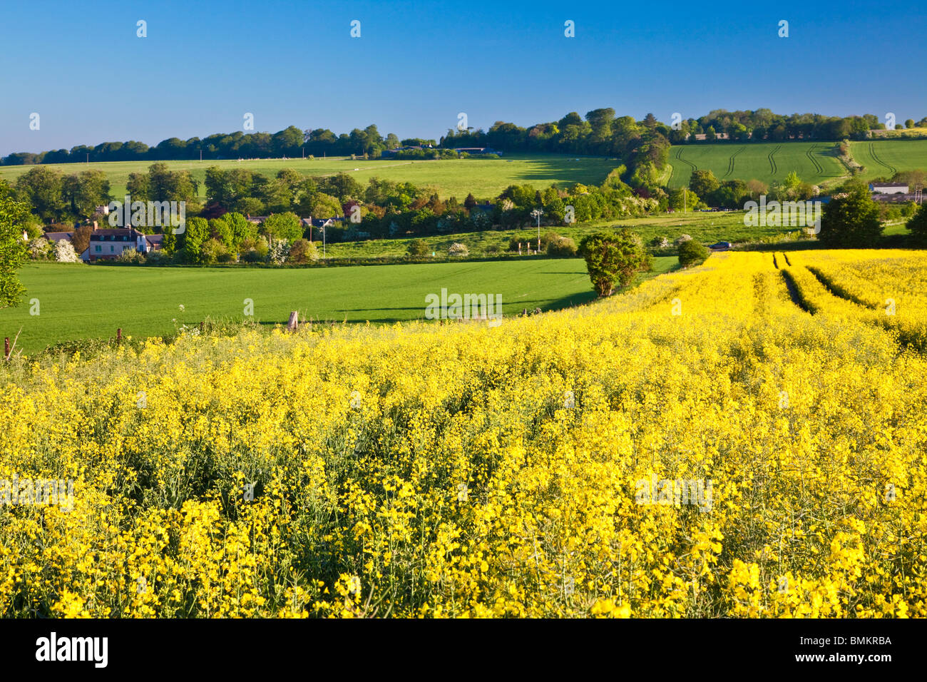 View over farmland and rolling countryside with fields of rape in ...