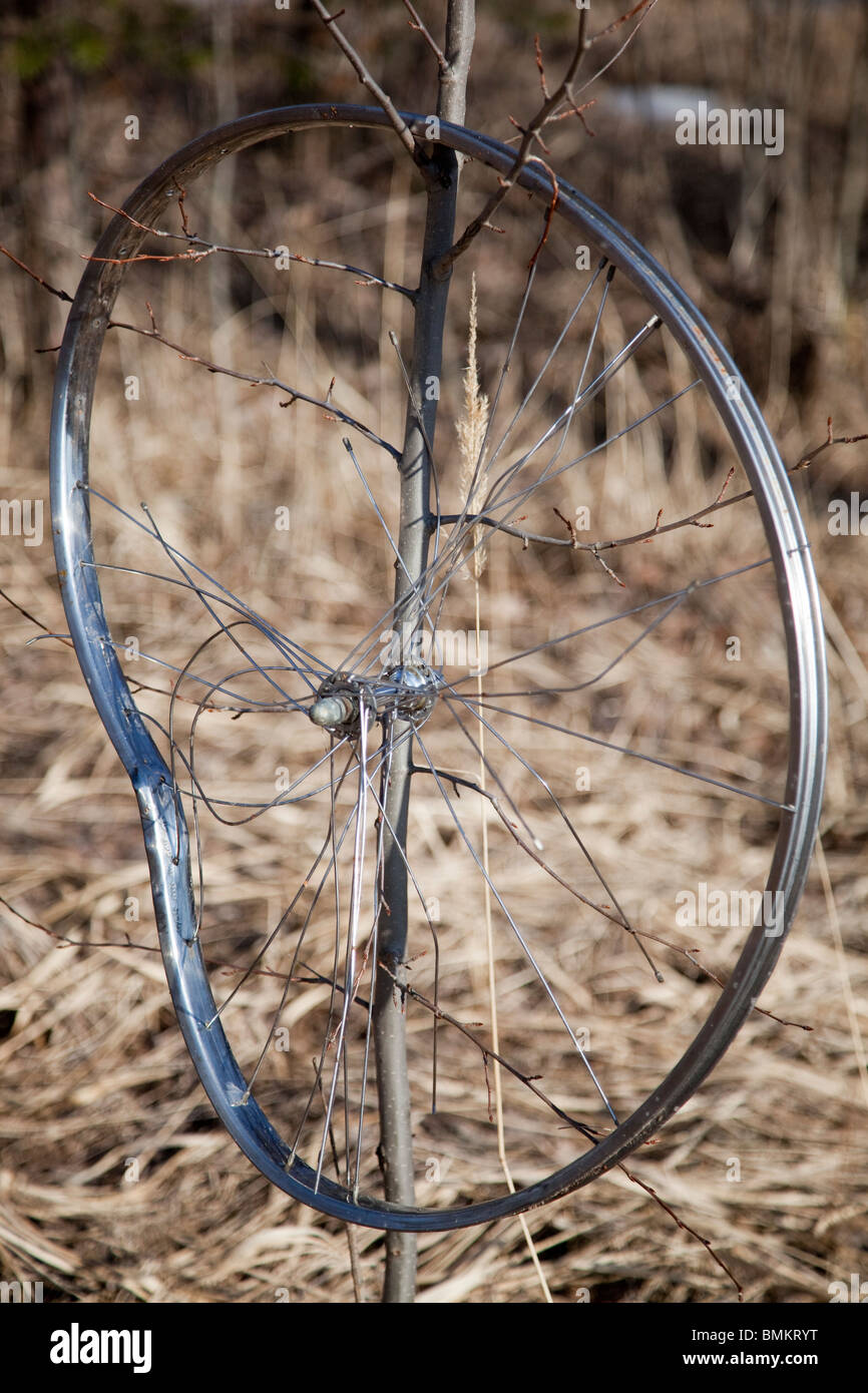 Bent tree broken one hi-res stock photography and images - Alamy