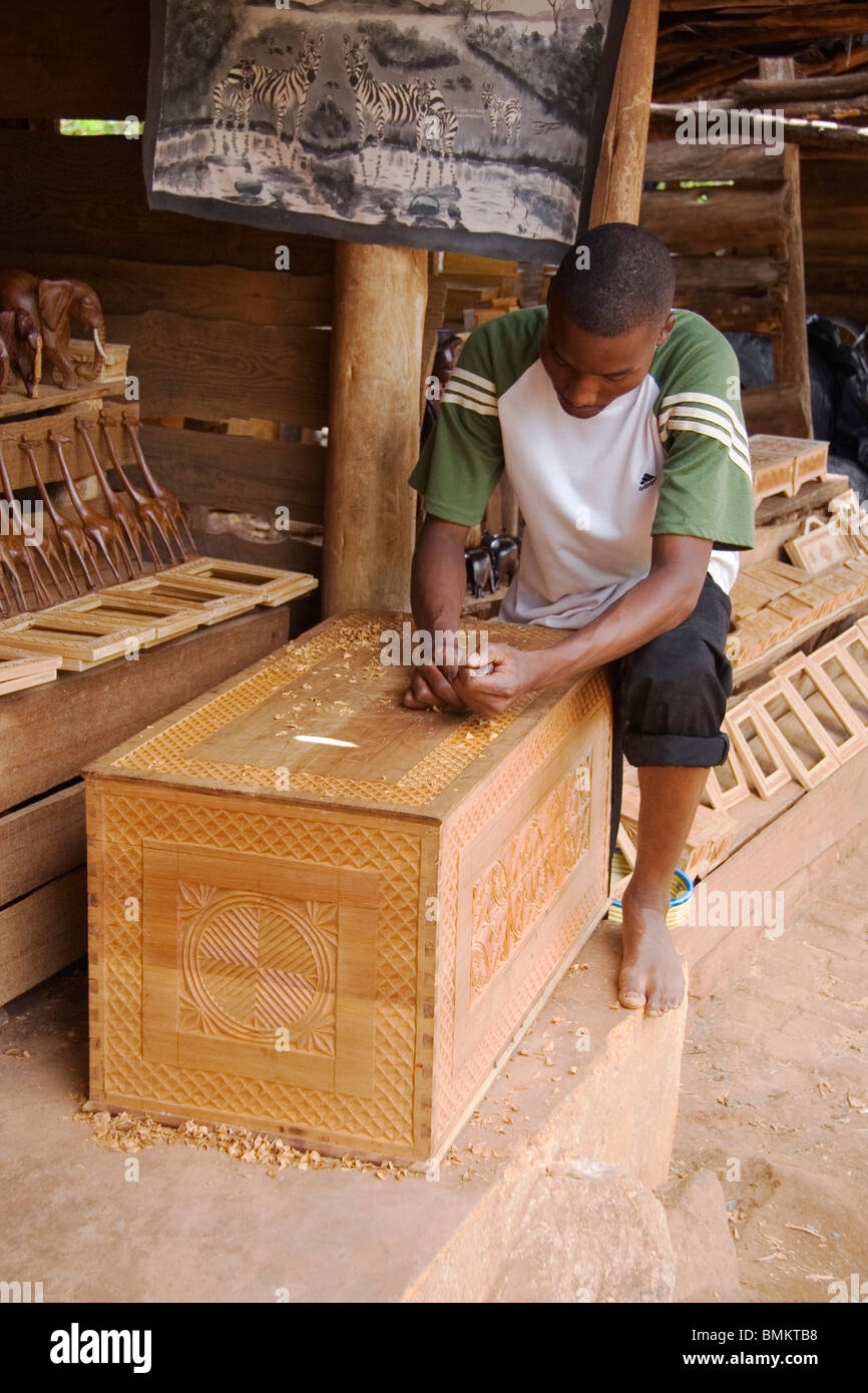 Mulanje cedar hi-res stock photography and images - Alamy