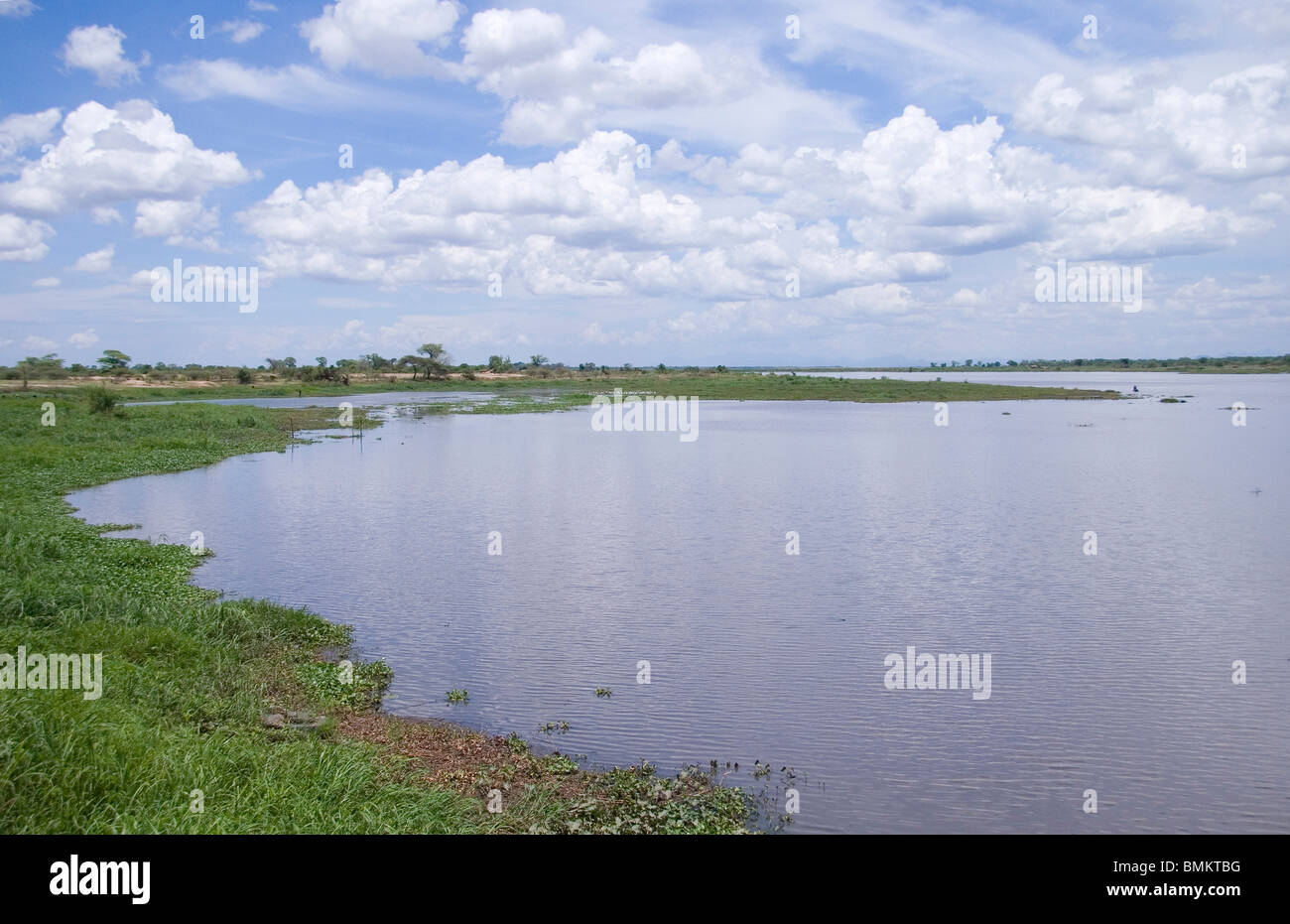 Roy schwarz hi-res stock photography and images - Alamy