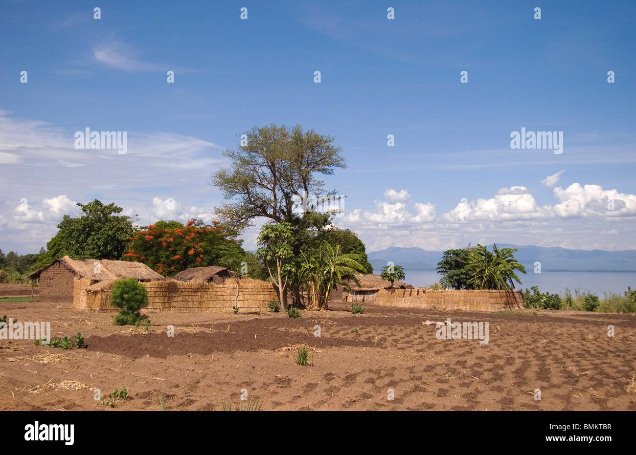 Malawi africa agriculture farm hi-res stock photography and images - Alamy