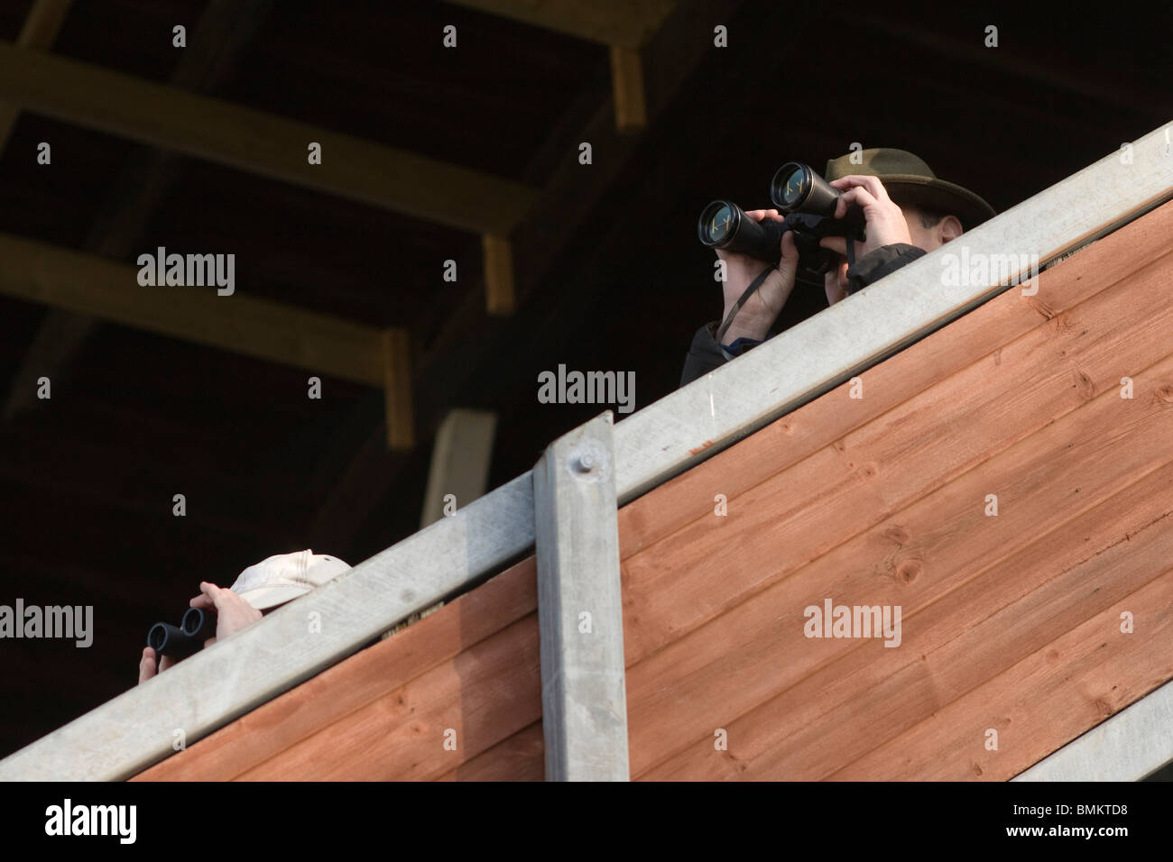 Point To Point Horse Racing Cottenham In High Resolution Stock ...