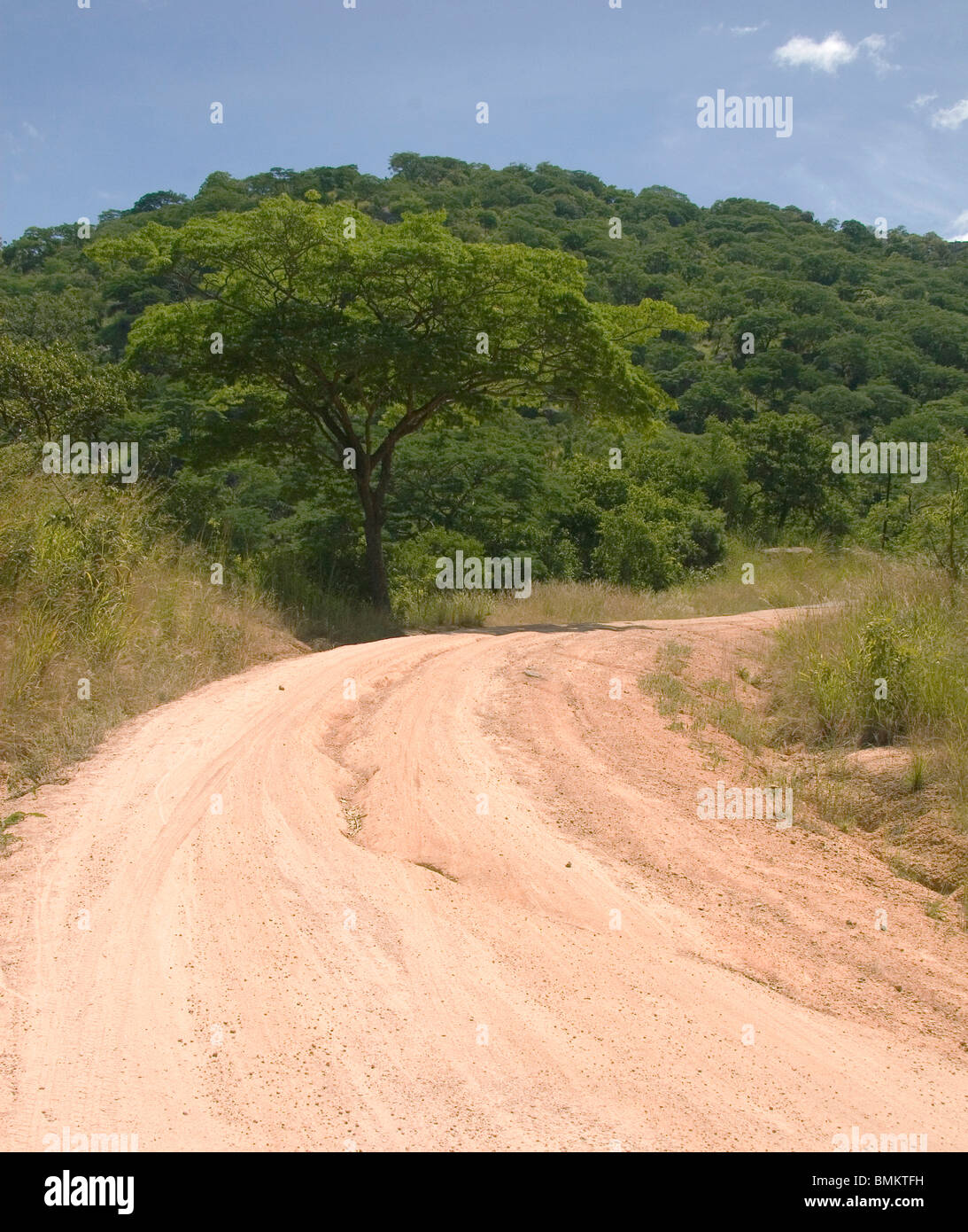 Bumpy dirt hillside hi-res stock photography and images - Alamy