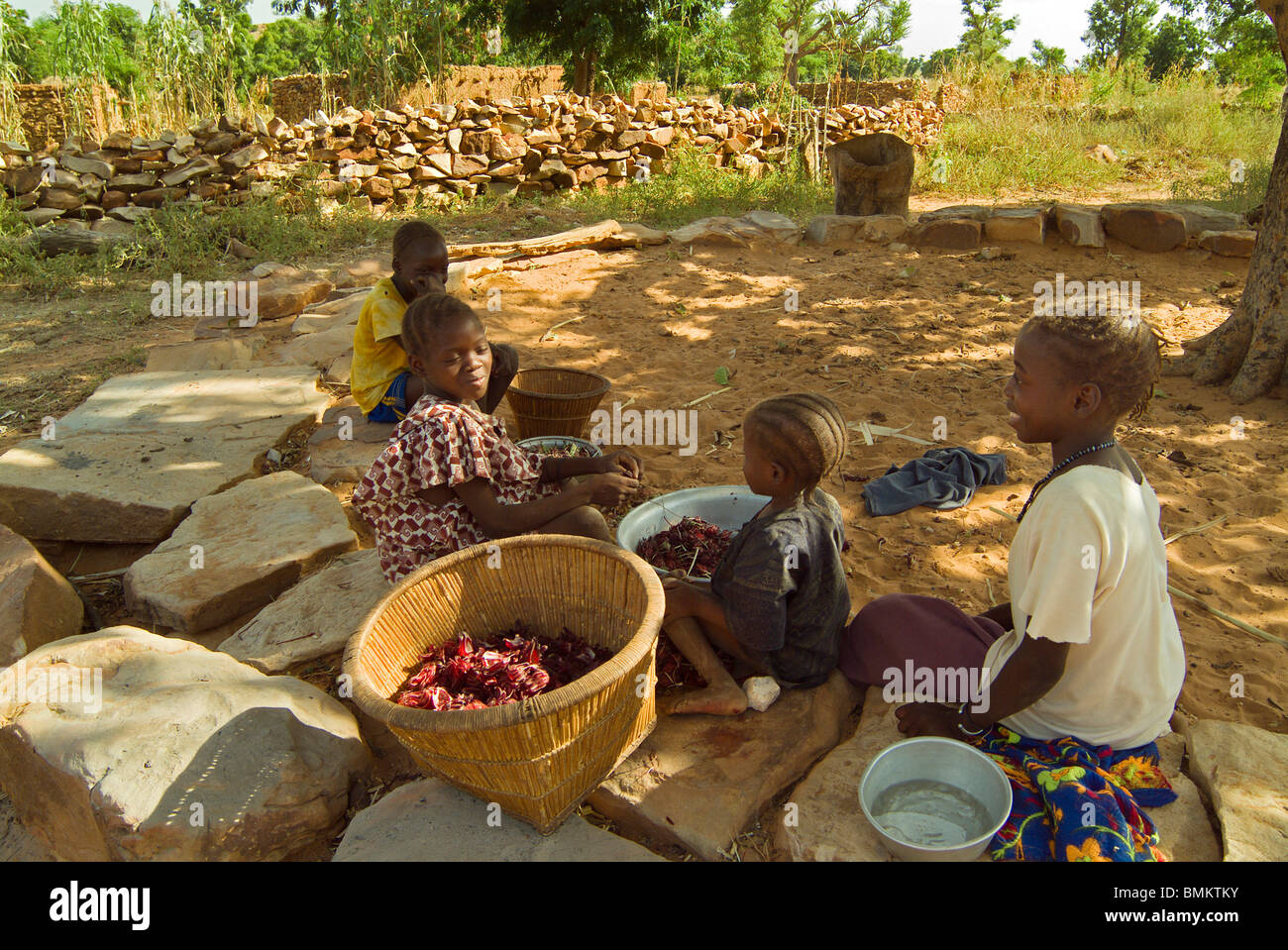 Africa, West Africa, Mali, Songo Village. Dogon-tribe children sorting ...