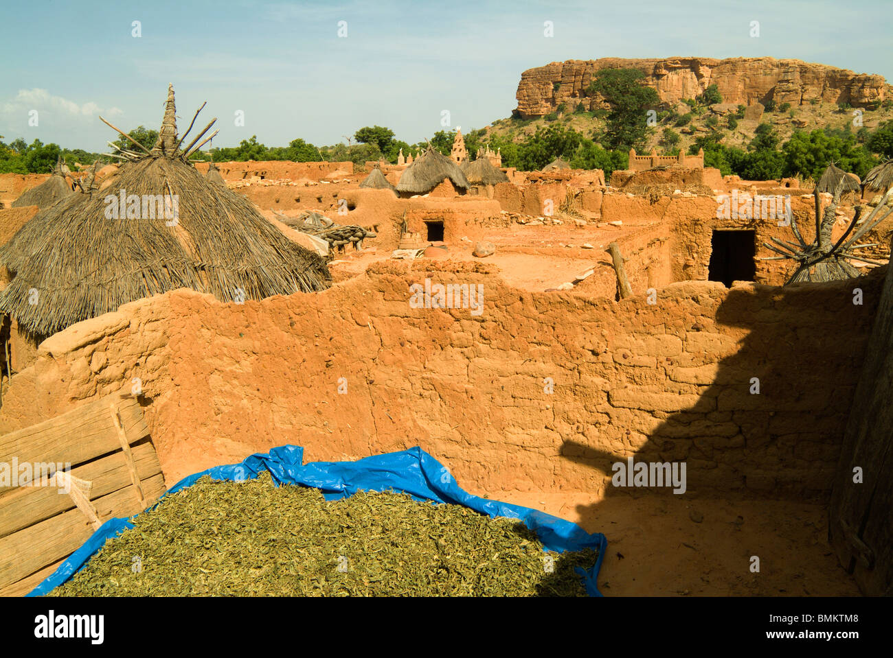 Africa, West Africa, Mali, Songo Village. Herbs drying on the roof top ...