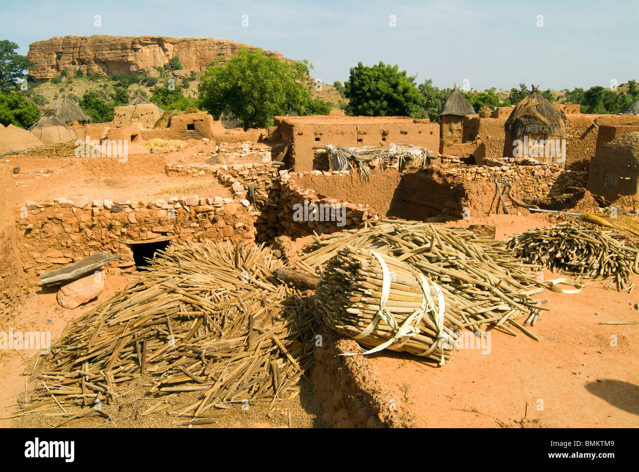 Africa, West Africa, Mali, Songo Village. Maize drying on a mud house ...