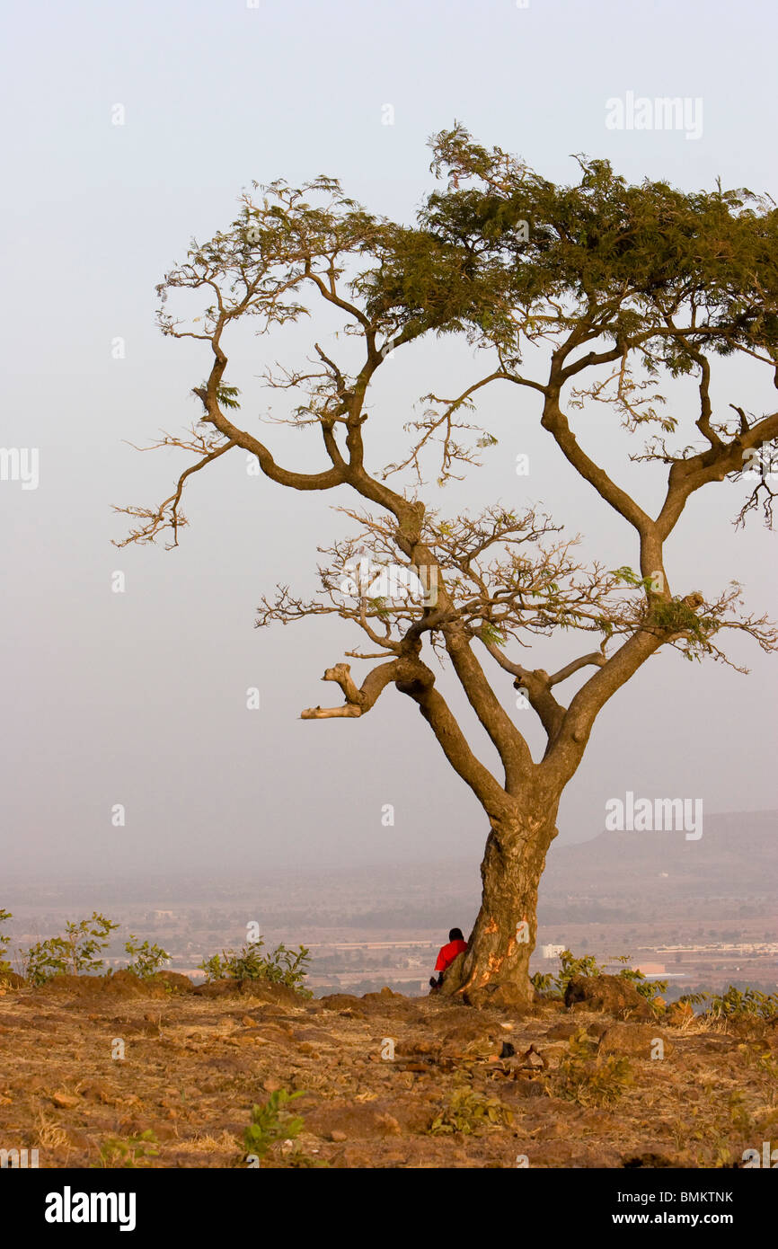 Mali, Bamako. Medical student studying under a tree Stock Photo - Alamy