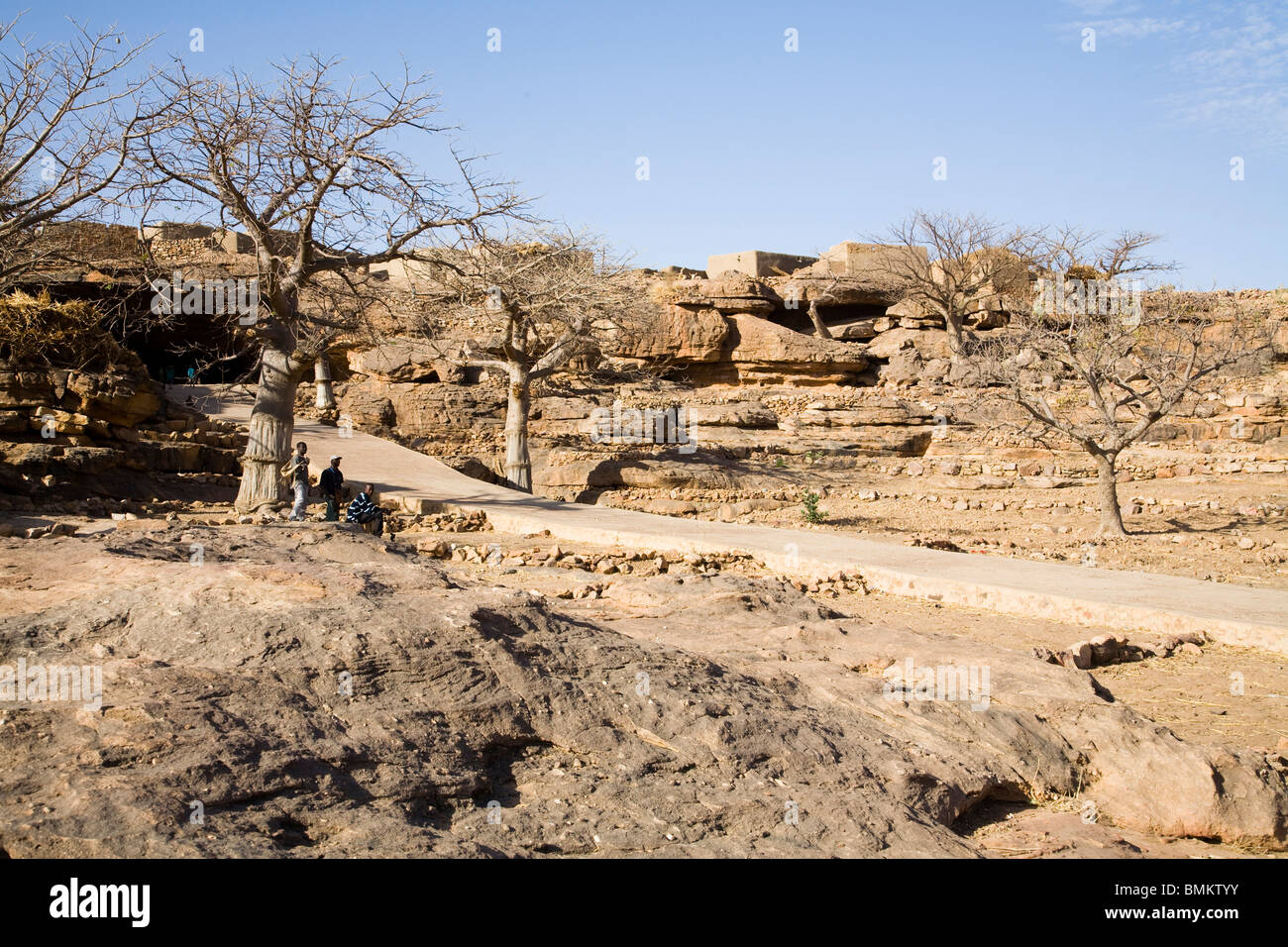 Bongo top hi-res stock photography and images - Alamy