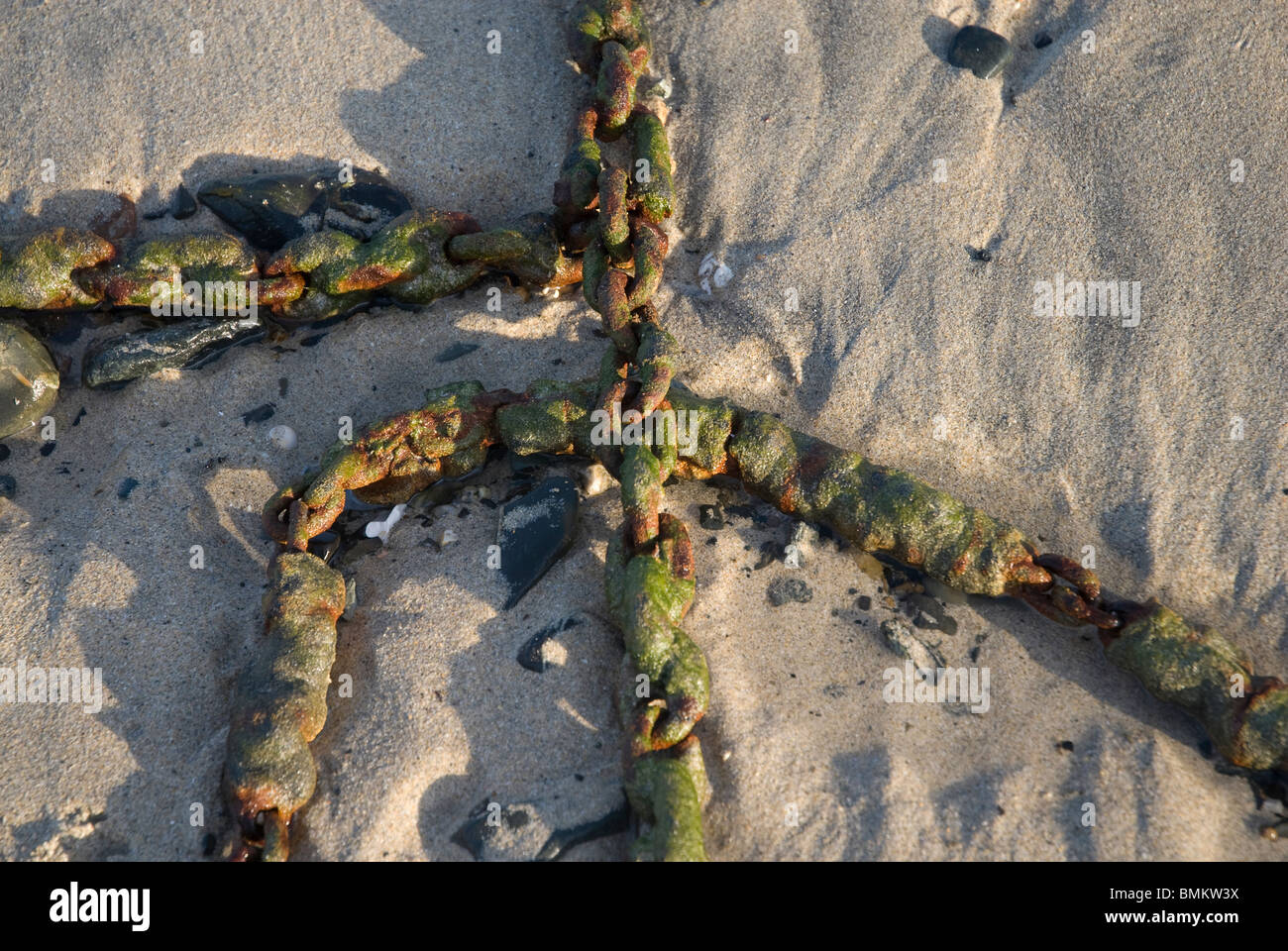 Seaweed covered chain on beach St Ives Cornwall UK Stock Photo - Alamy
