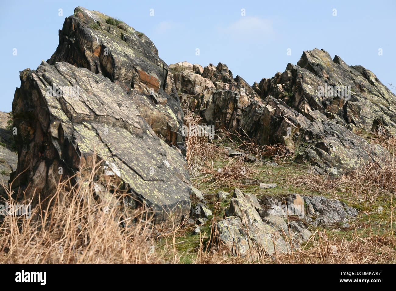 outcrop of rocks at bradgate park leicestershire Stock Photo - Alamy