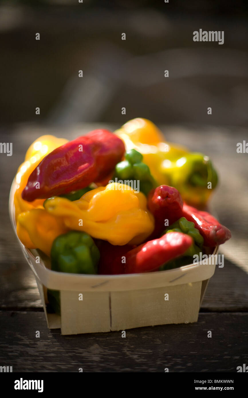 Bell peppers in the sun hi-res stock photography and images - Alamy