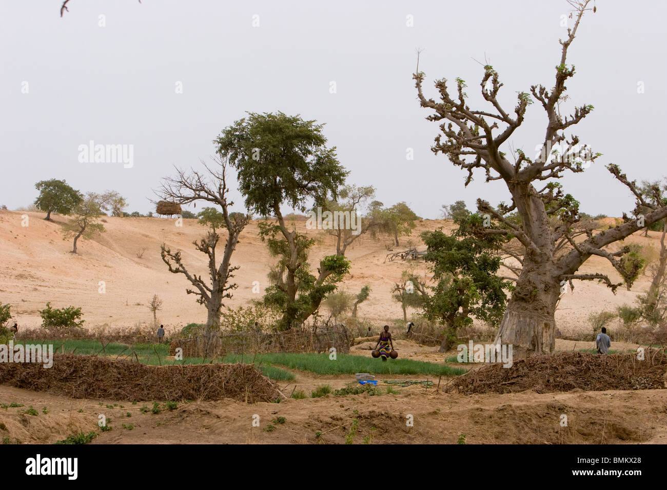 Sahel landscape bandiagara hi-res stock photography and images - Alamy