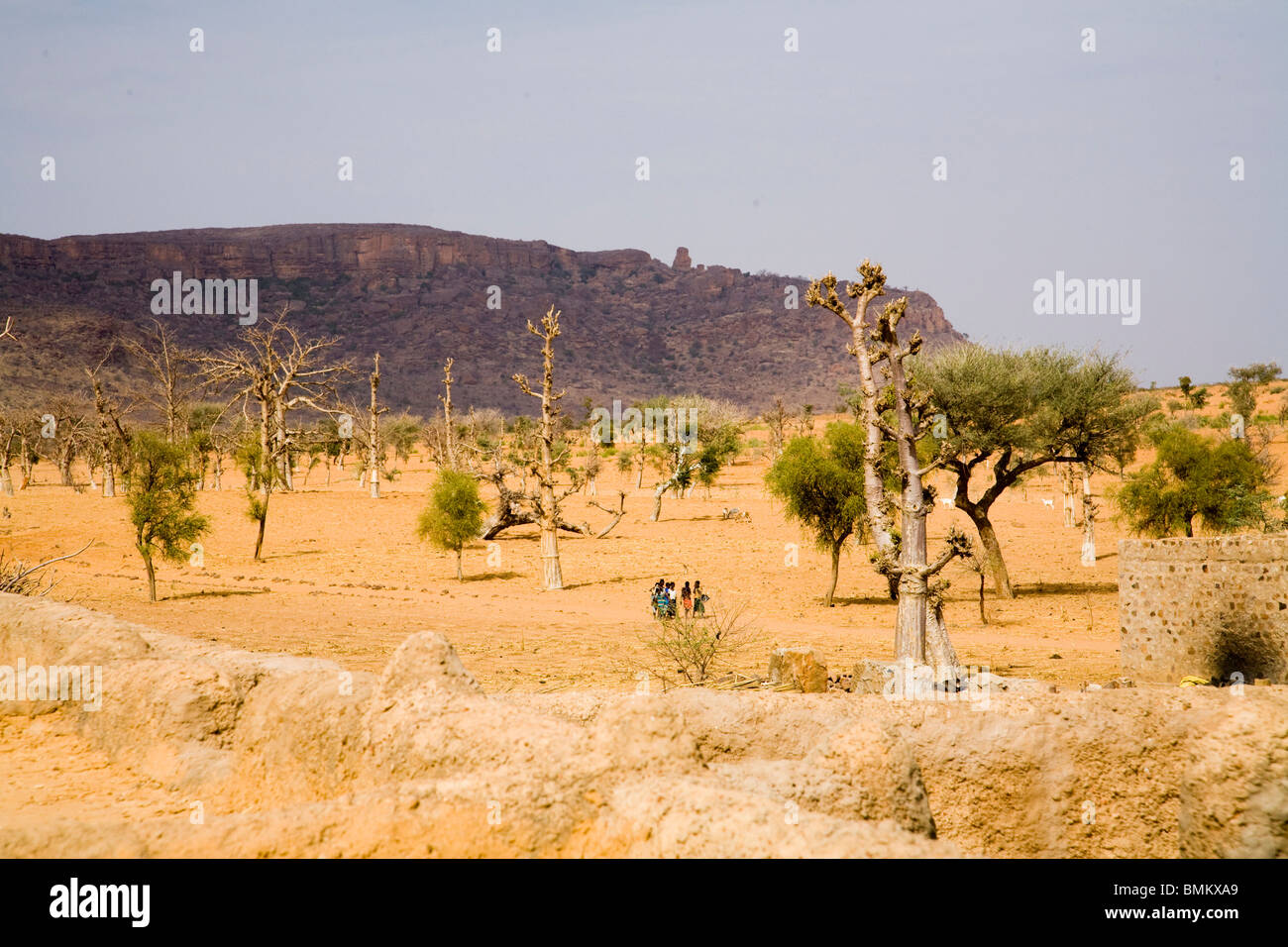 Sahel landscape hi-res stock photography and images - Alamy