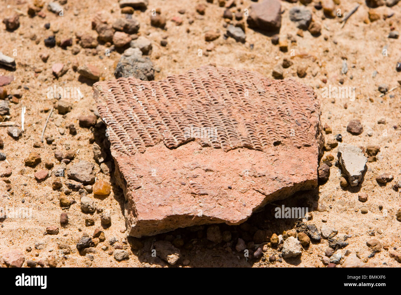 Mali, Djenne, Djenne-Djeno Archaeological Site. Pottery remains Stock ...