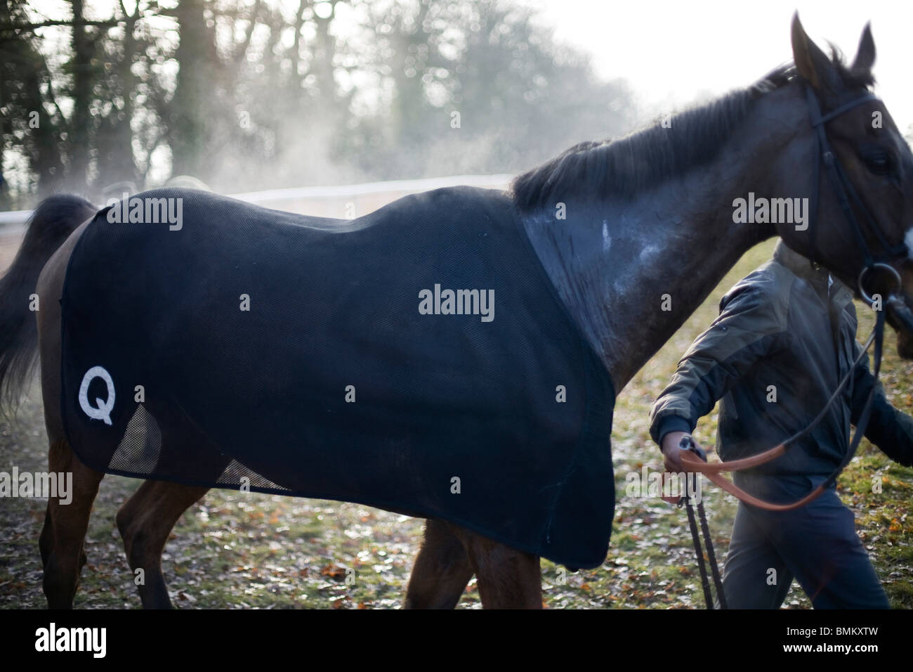 Steaming point hi-res stock photography and images - Alamy
