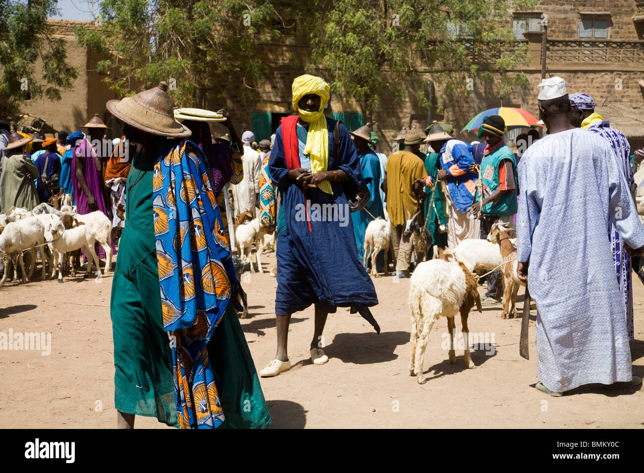 Mali, Djenne. Livestock for sale at Monday Market Stock Photo - Alamy