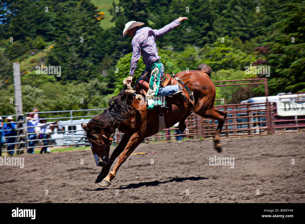 Cowboy riding horse Stock Photo - Alamy