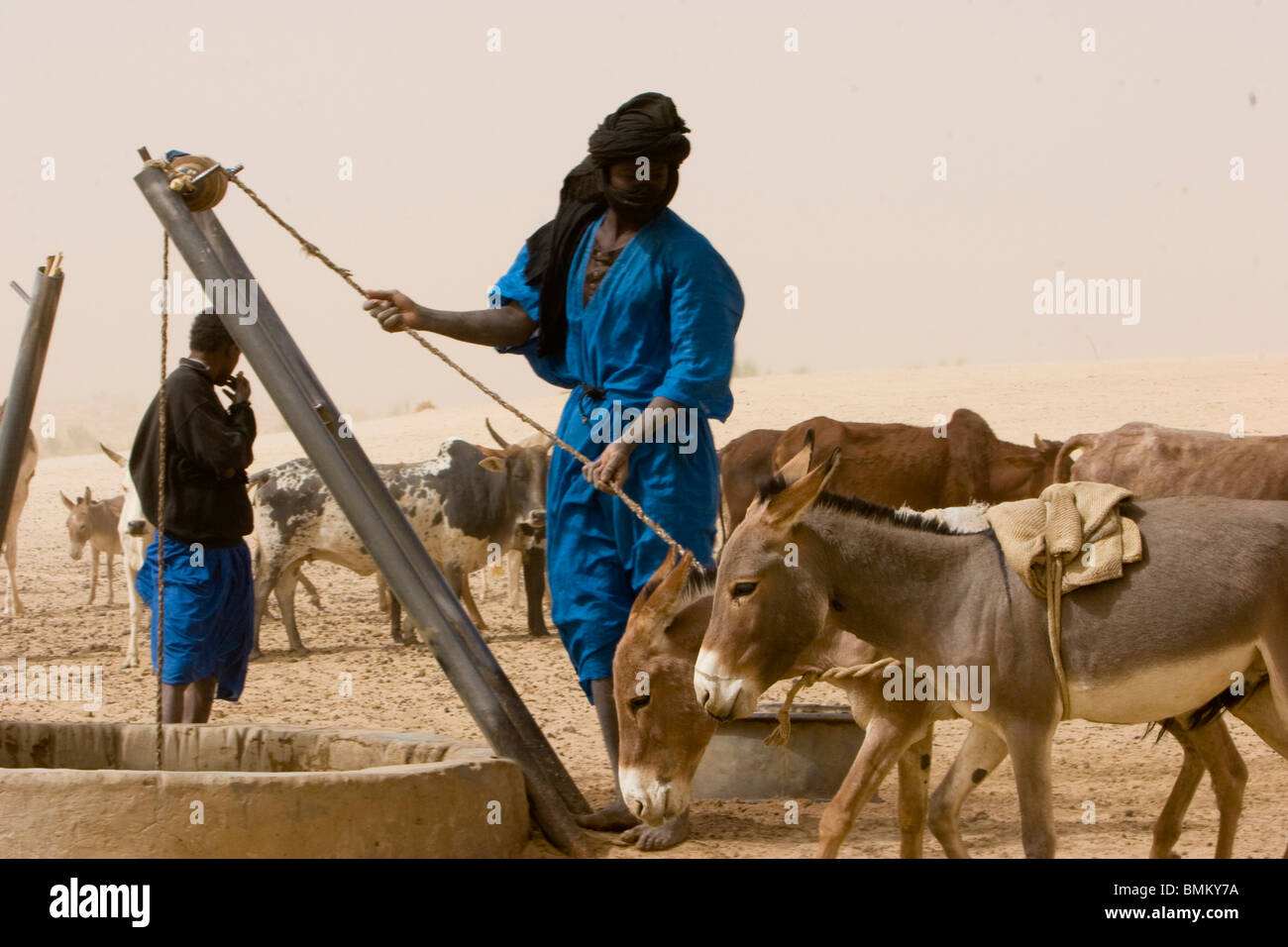 Tuareg at well hi-res stock photography and images - Alamy