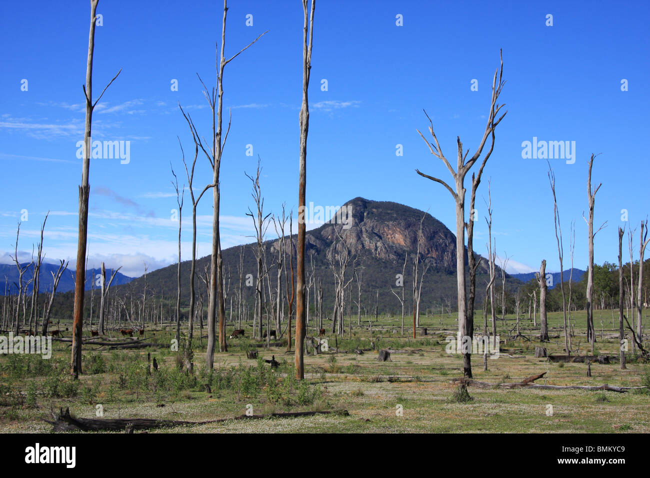 Mt Graville from dry lake bed Stock Photo - Alamy
