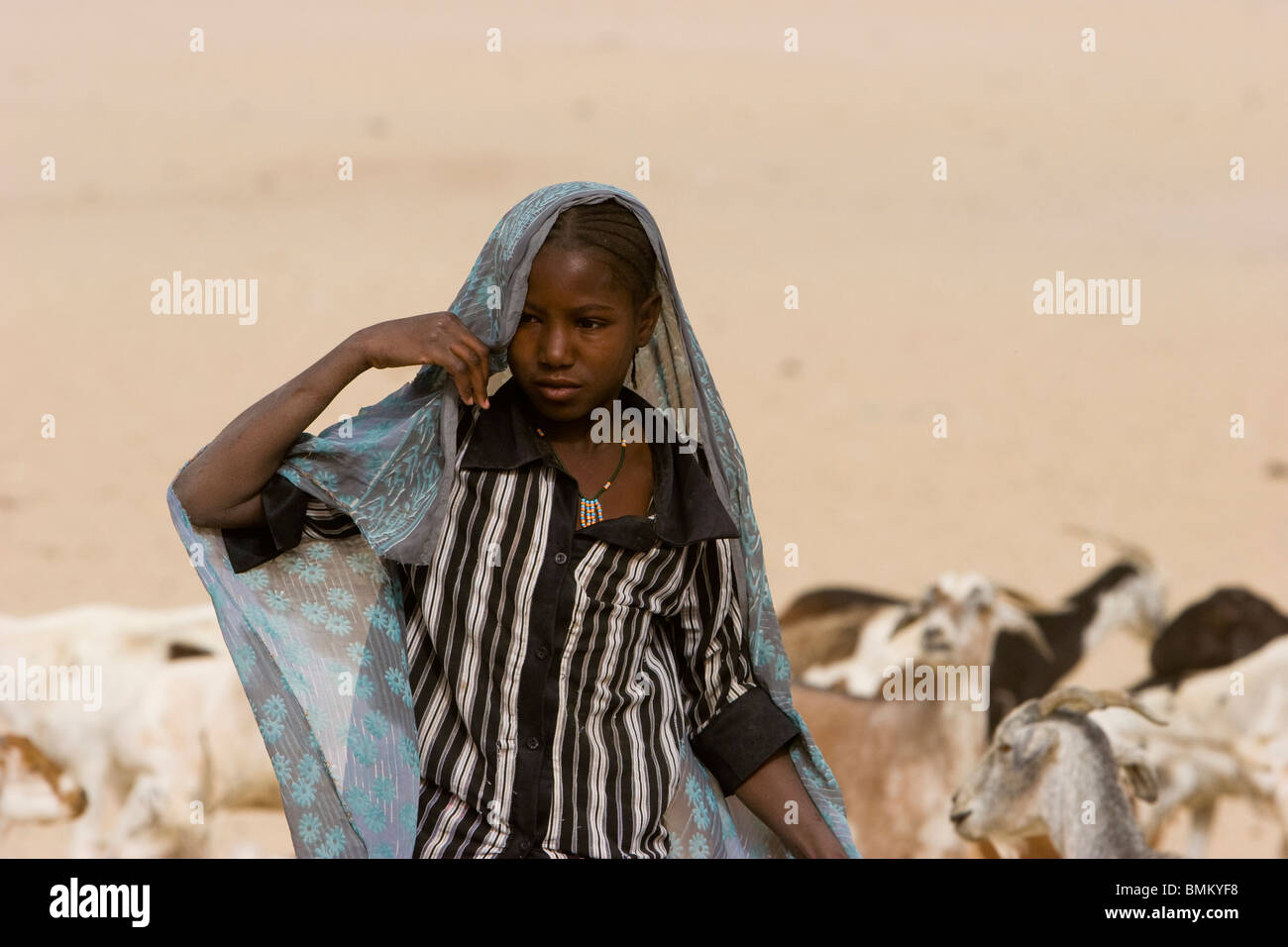 Mali, Timbuktu. Goat herder Stock Photo - Alamy