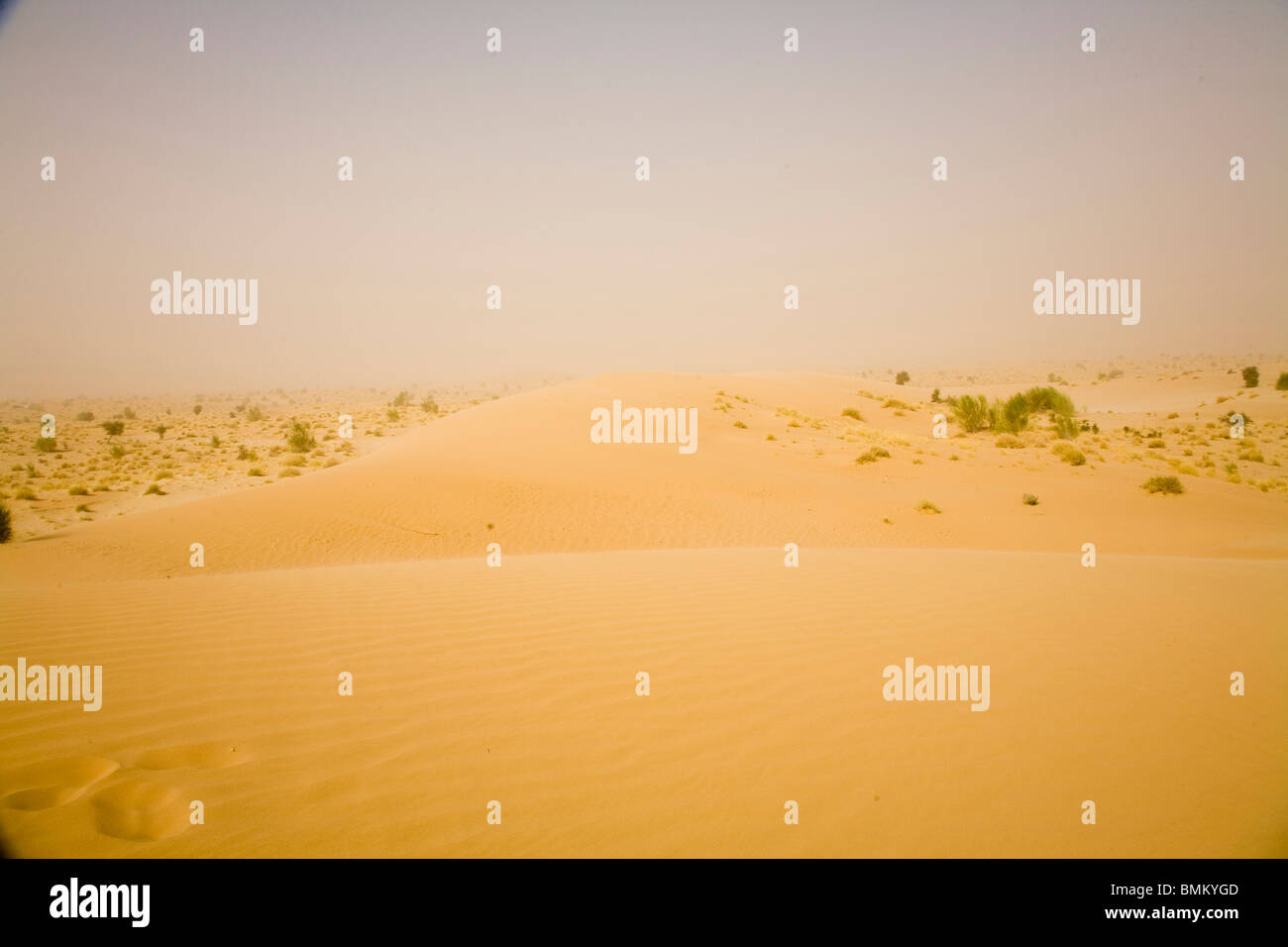 In the sand storm hi-res stock photography and images - Alamy
