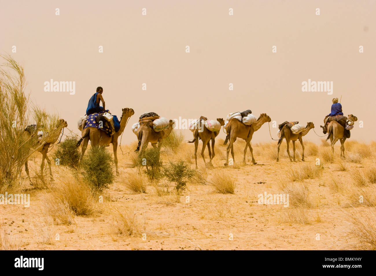 Mali, Timbuktu. Tuareg camel caravan Stock Photo - Alamy