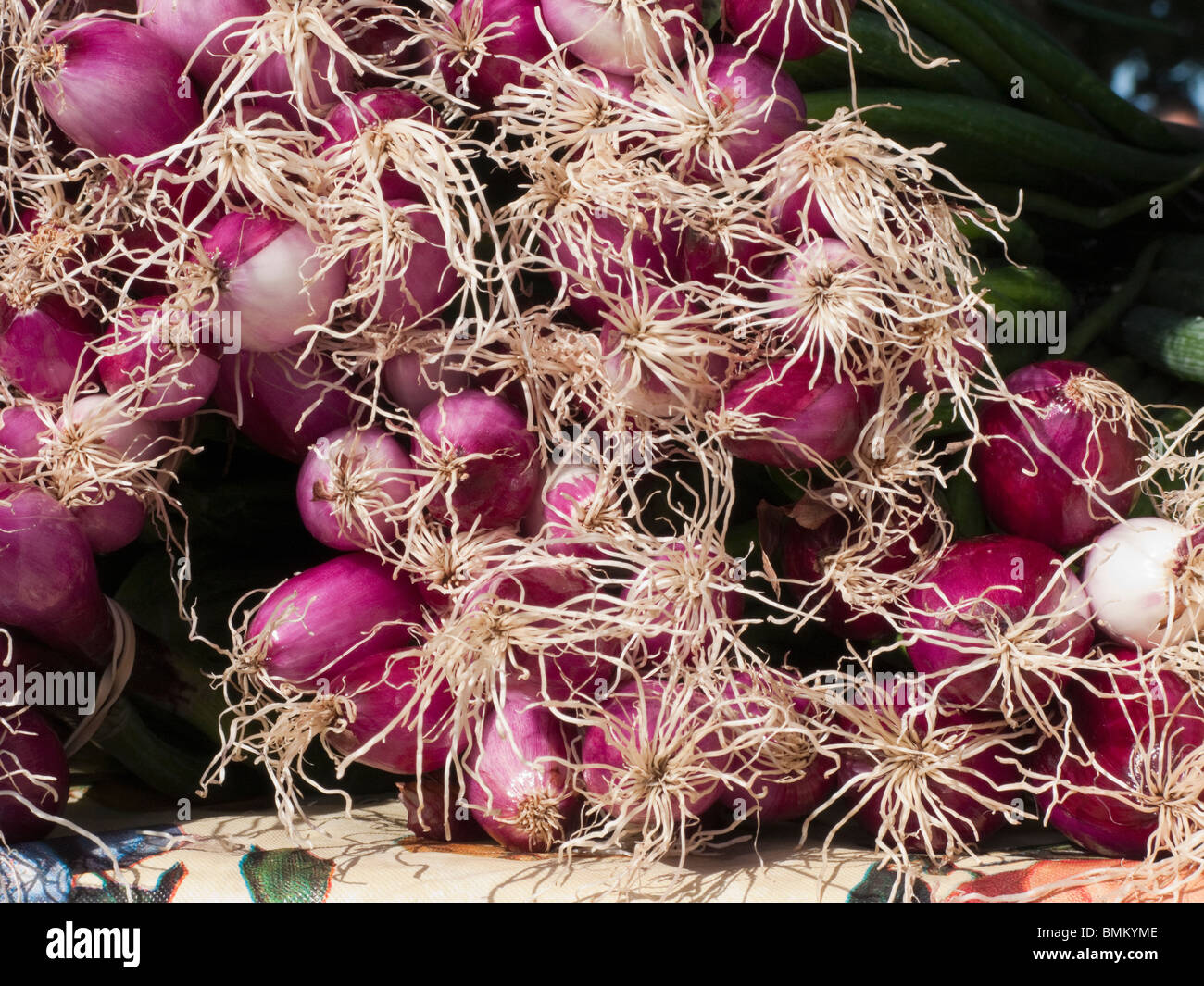 Fresh shallots farmers market hi-res stock photography and images - Alamy