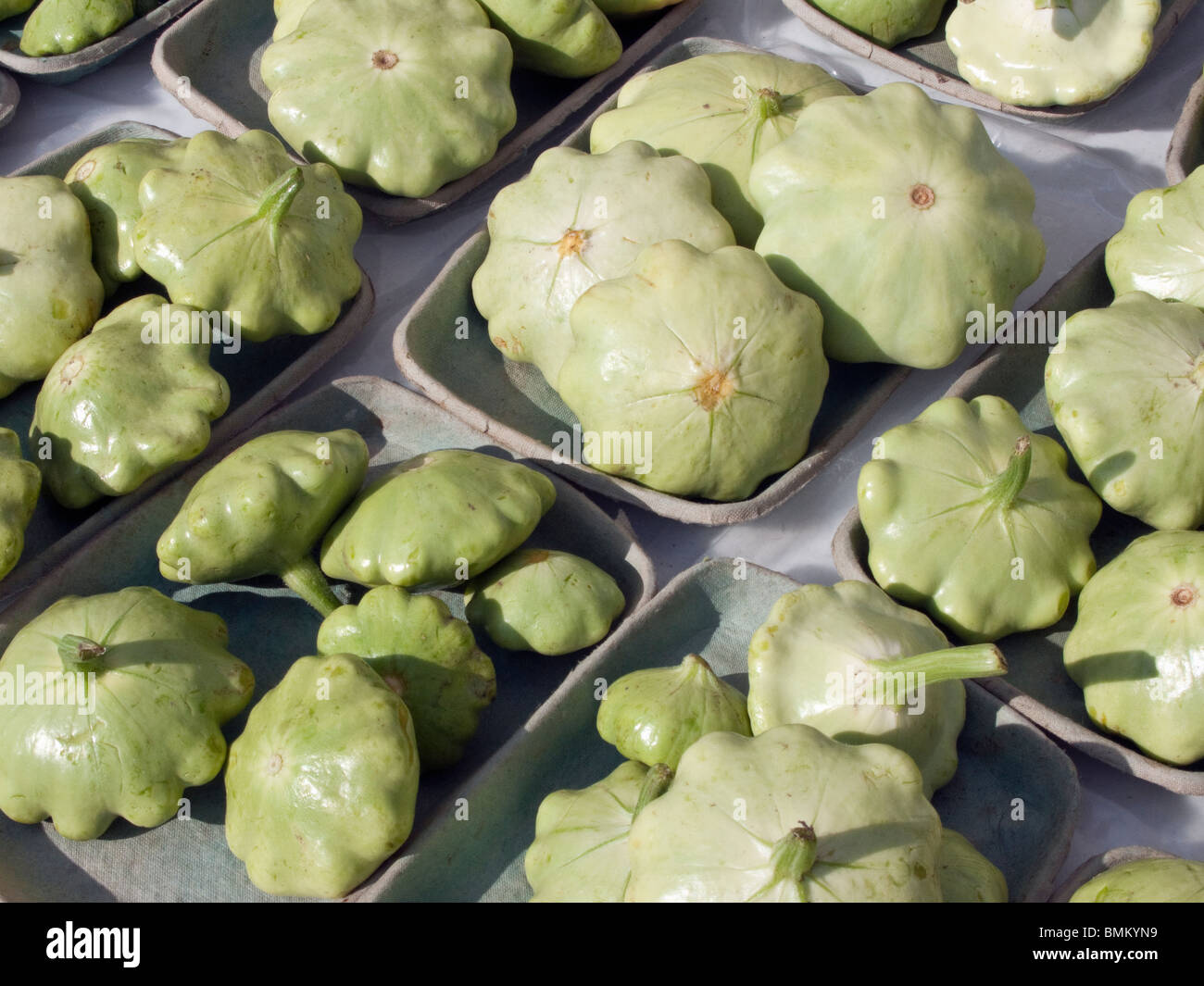 Summer squash for sale at Farmer's Market in the Midwest Stock Photo ...