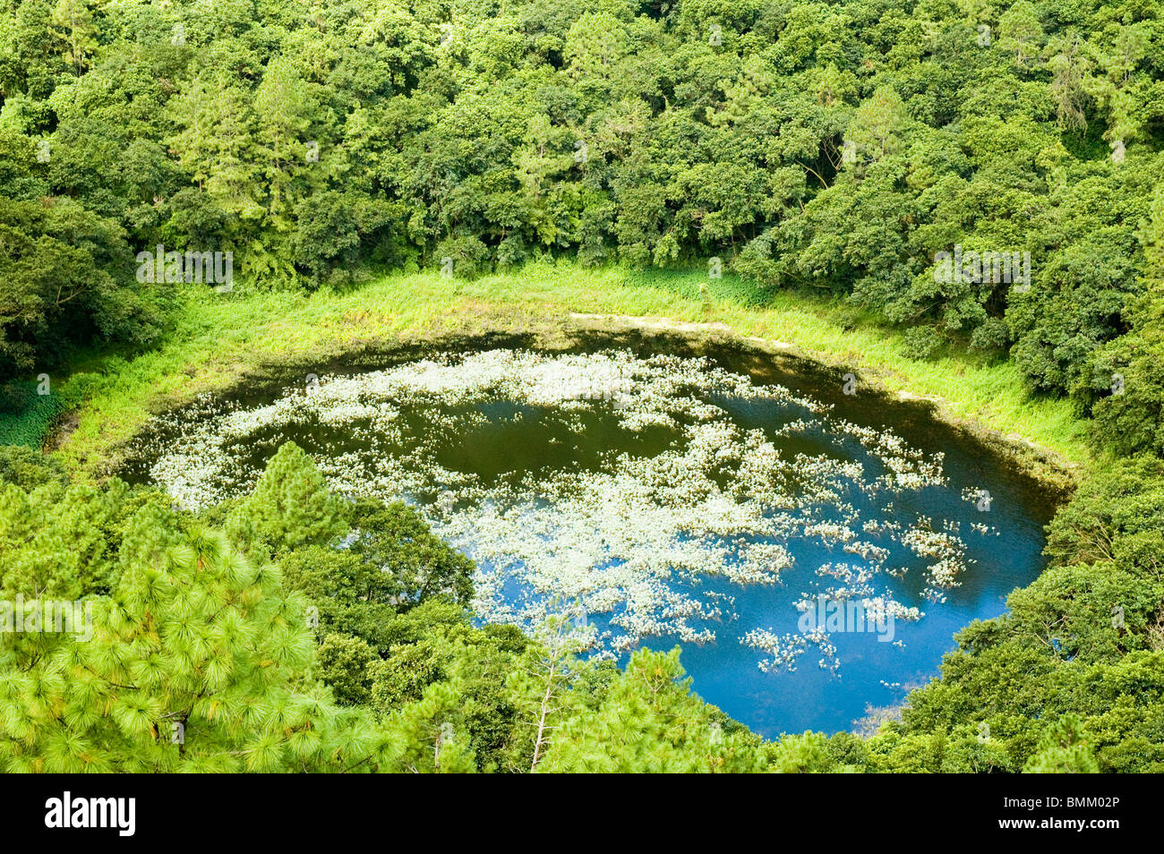 Trou Aux Cerfs Trou Aux Cerfs: A Volcano In Mauritius