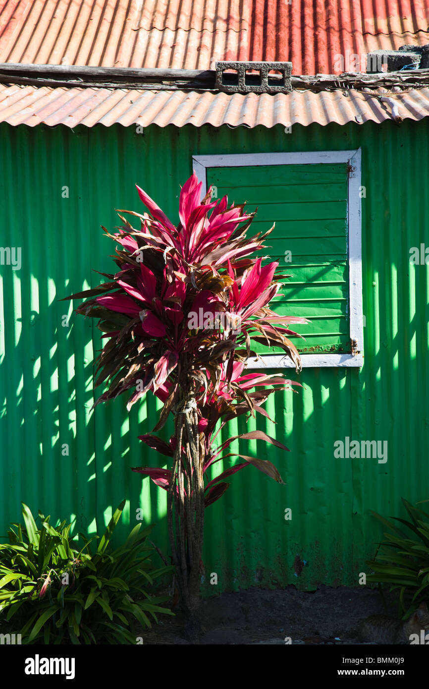 Mauritius, Eastern Mauritius, Trou d' Eau Douce, beach shack Stock ...