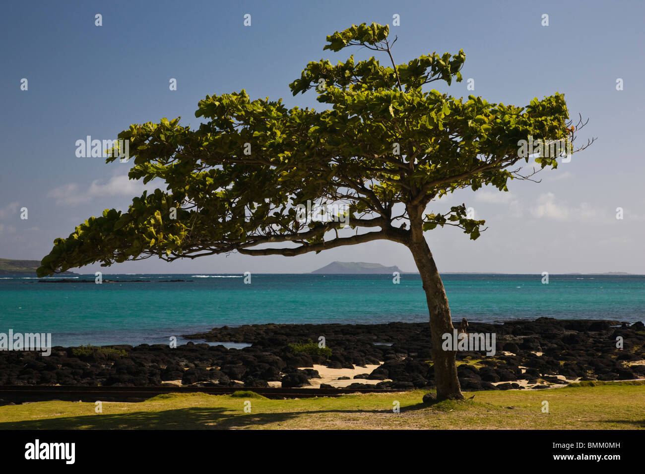 Anse la raie hi-res stock photography and images - Alamy