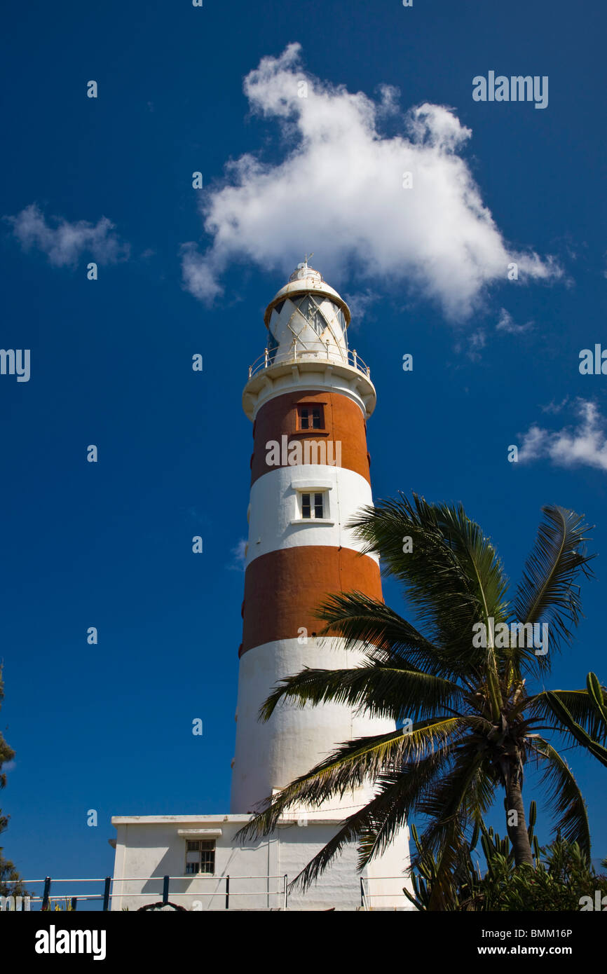 Albion mauritius hi-res stock photography and images - Alamy