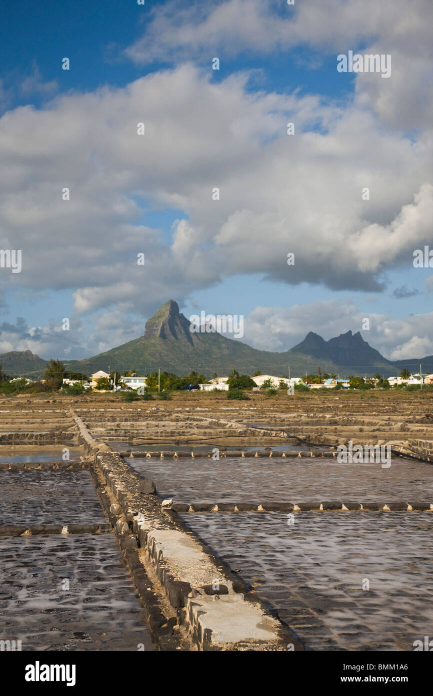 Mauritius, Western Mauritius, Tamarin, Montagne du Rempart mountain (el ...