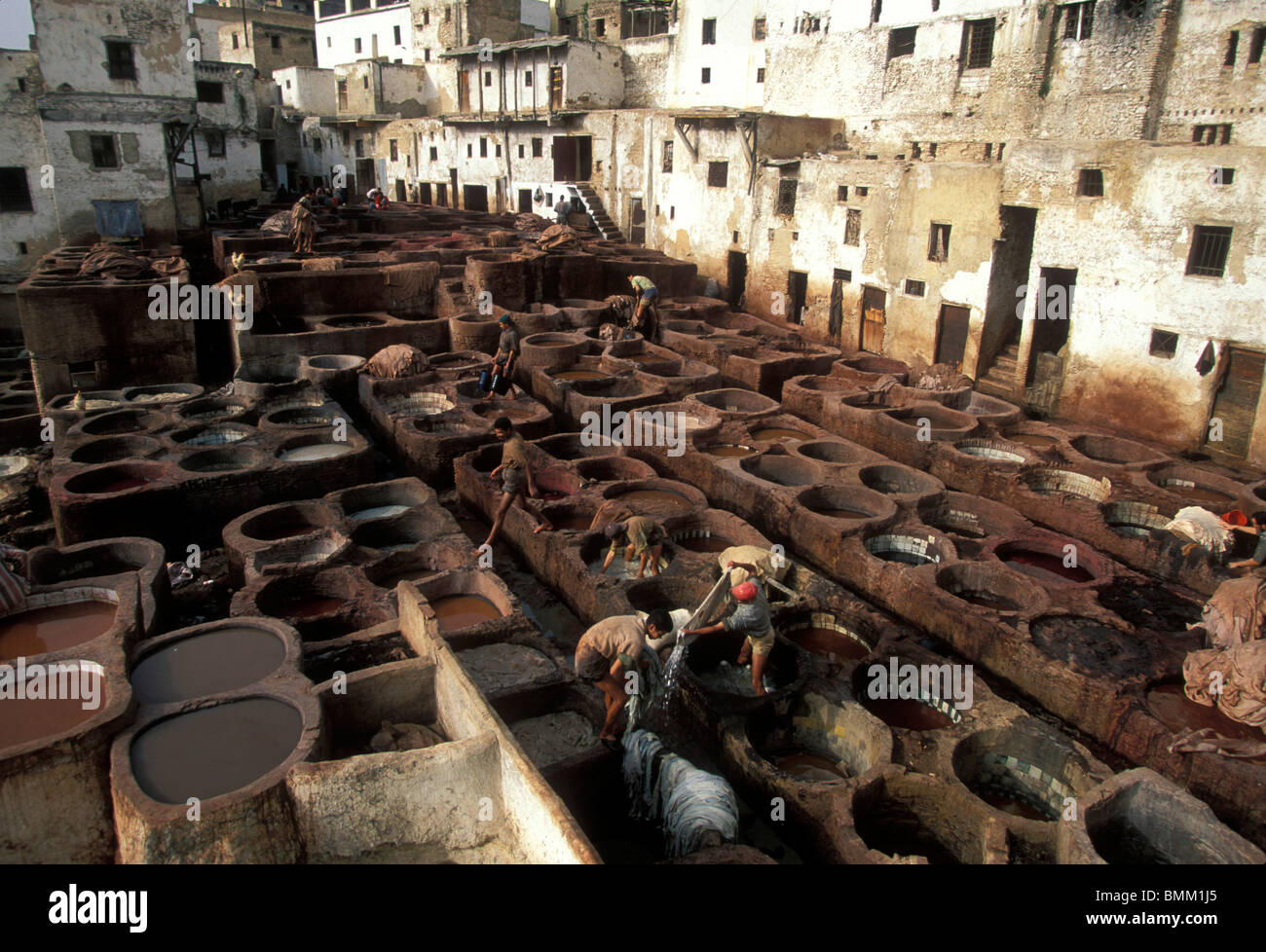 Africa, Morocco, Fez, Workers tan and color cow hides in ancient die ...