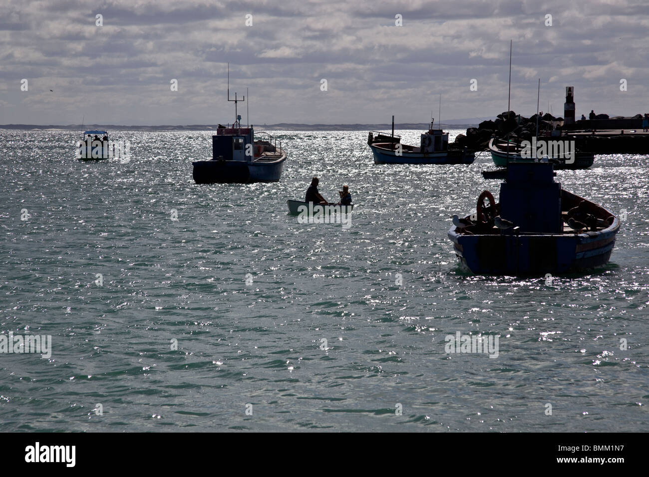 Struis hi-res stock photography and images - Alamy