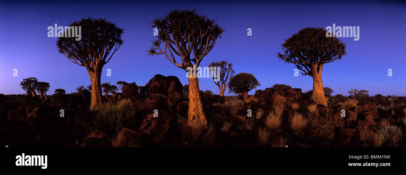 Namibia namib desert graphic hi-res stock photography and images - Alamy