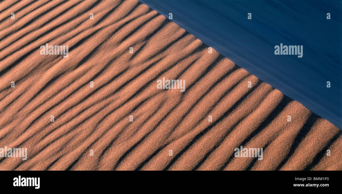 Namibia, Namib Desert, Setting sun lights wind-blown sand along dunes ...
