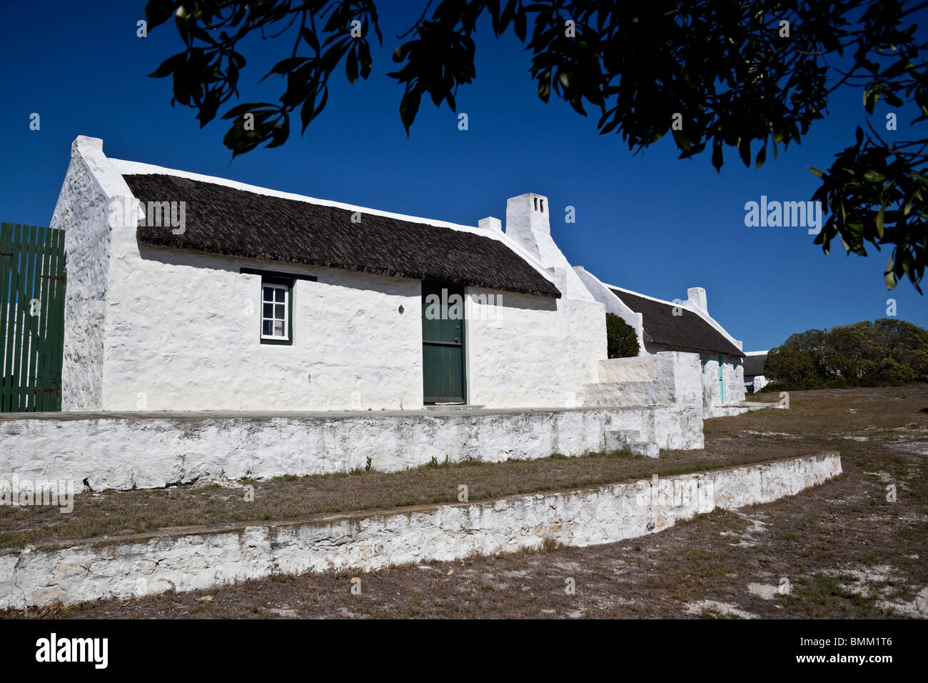 Struis hi-res stock photography and images - Alamy