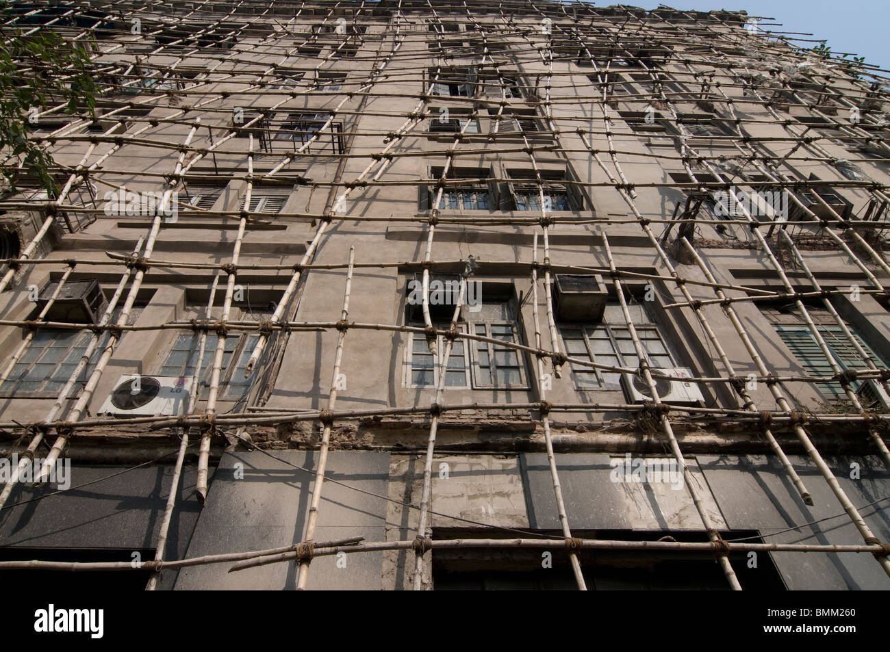 Tree Scaffolding High Resolution Stock Photography and Images - Alamy
