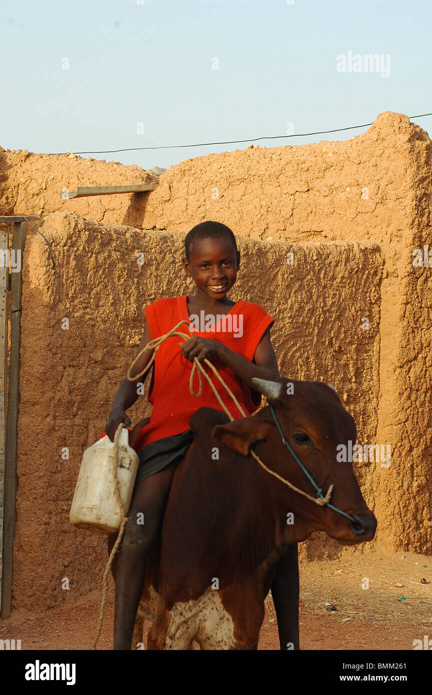 Riding a cow hi-res stock photography and images - Alamy